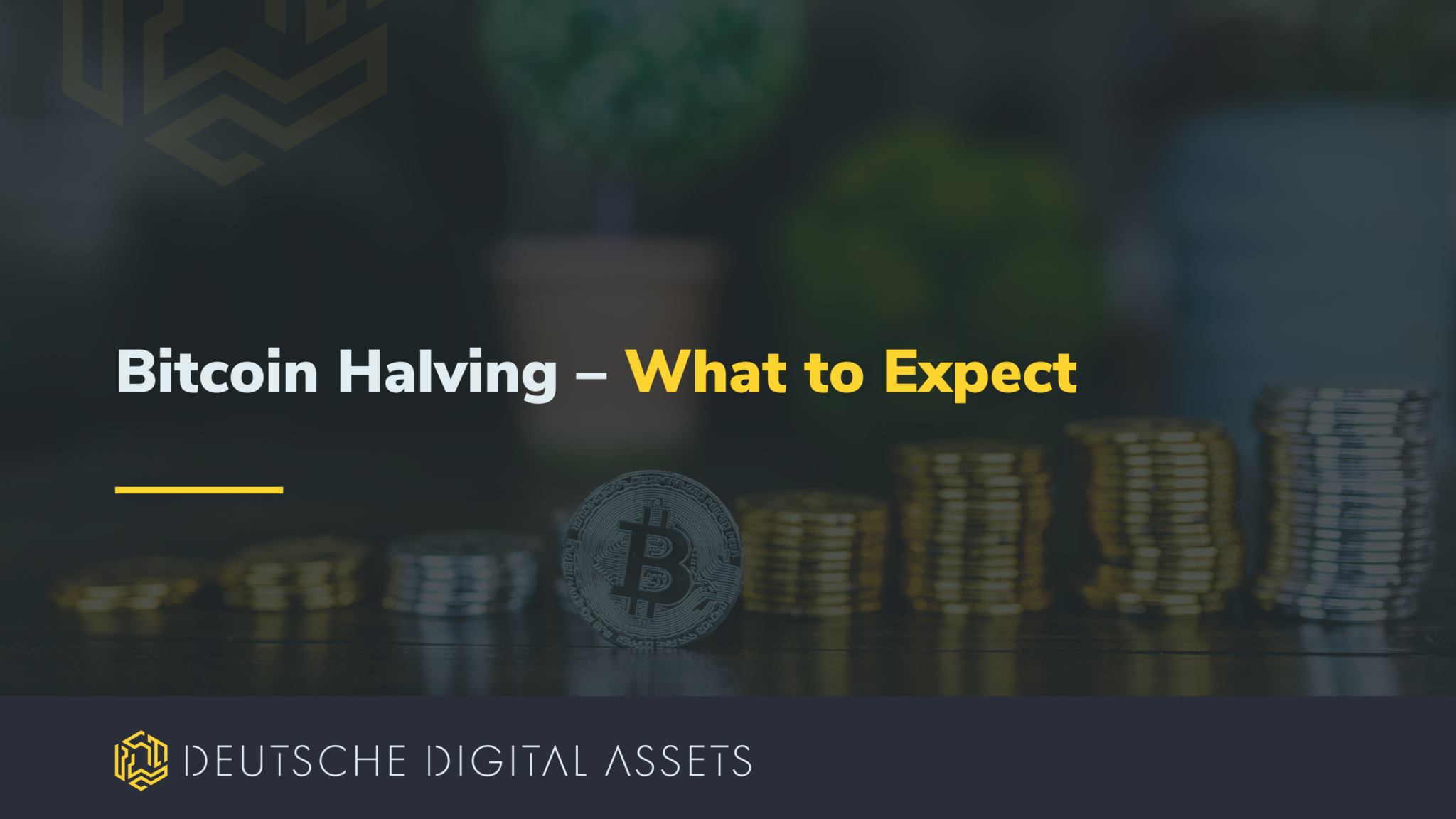 Bitcoin-Halbierung - Was zu erwarten ist - Deutsche Digital Assets